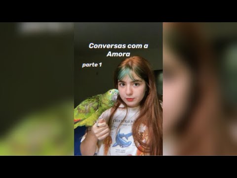 CONVERSAS COM MEU PAPAGAIO *parte 1* #shorts