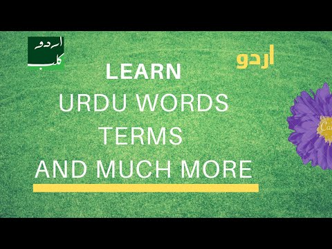 Learn Urdu Words, Terms and Much More | Subscribe to Urdu Club