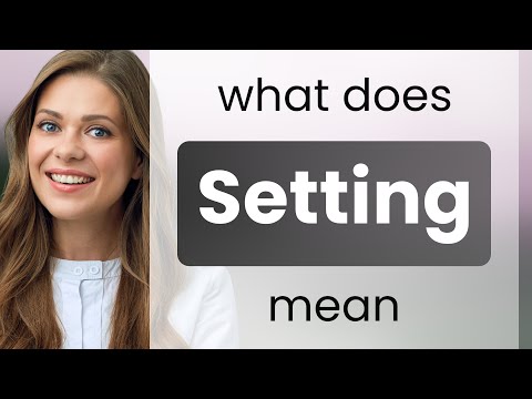 Setting • SETTING definition