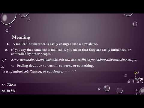 Malleable Meaning with Examples