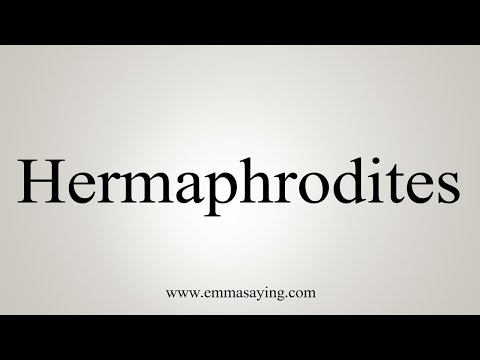 How To Say Hermaphrodites