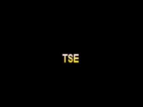What Is The Definition Of TSE
