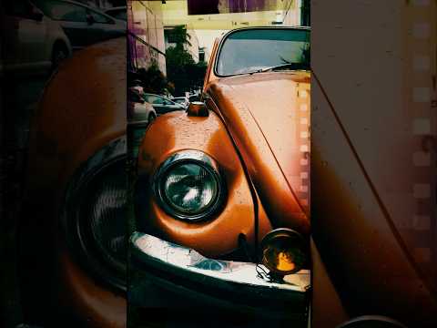 Want to add a VINTAGE touch to your photos? It's easy with the Film Effects in Photo Studio! 🎞✨