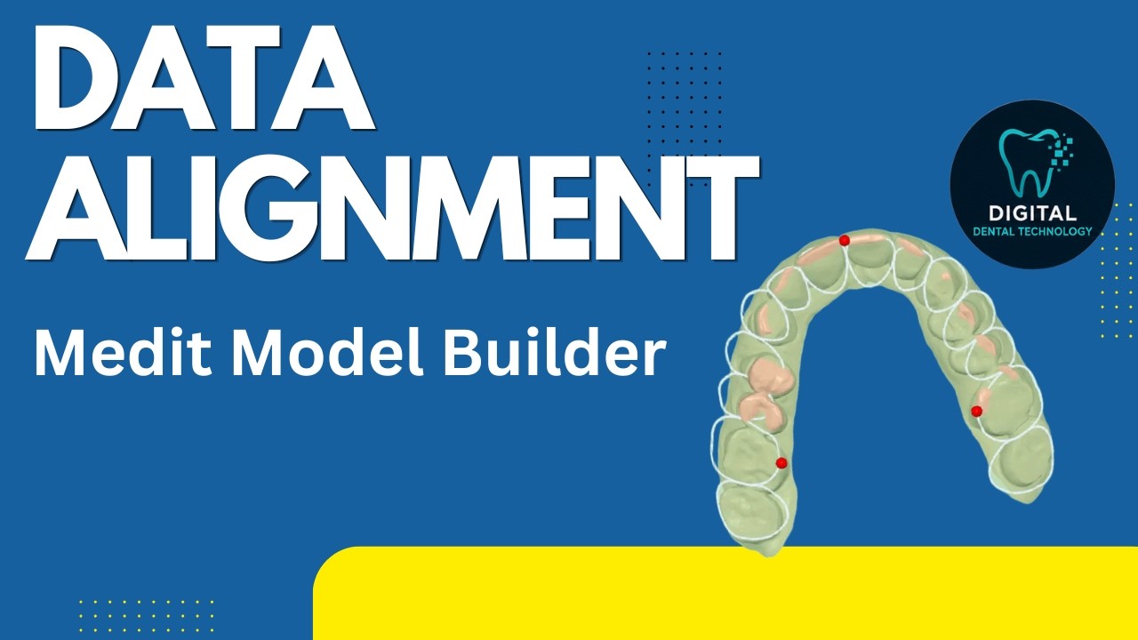 Data Alignment in Medit Model Builder