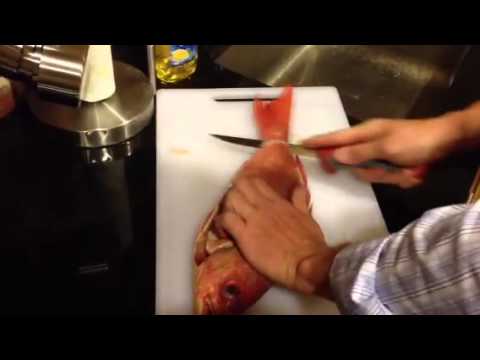 Clauss 6" Titanium Bonded Filet Knife