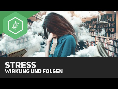 Stress - Wirkung und Folgen