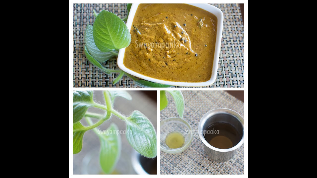 Health benefits of doddapatre | benefits of Indian borage | home ...