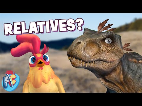 Chickens are closely related to T-REXES? | Future Chicken