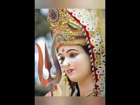 jai ho vaishno mata #vaishnodevi #shorts