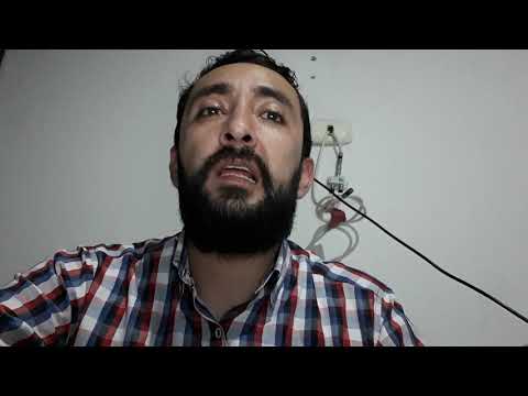 ALEGATOS DE CONCLUSION VIOLENCIA INTRAFAMILIAR