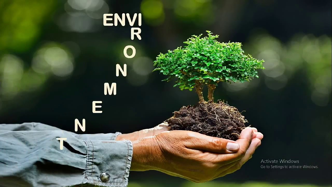 Must Watch!Best Powerpoint presentation on Environment.
