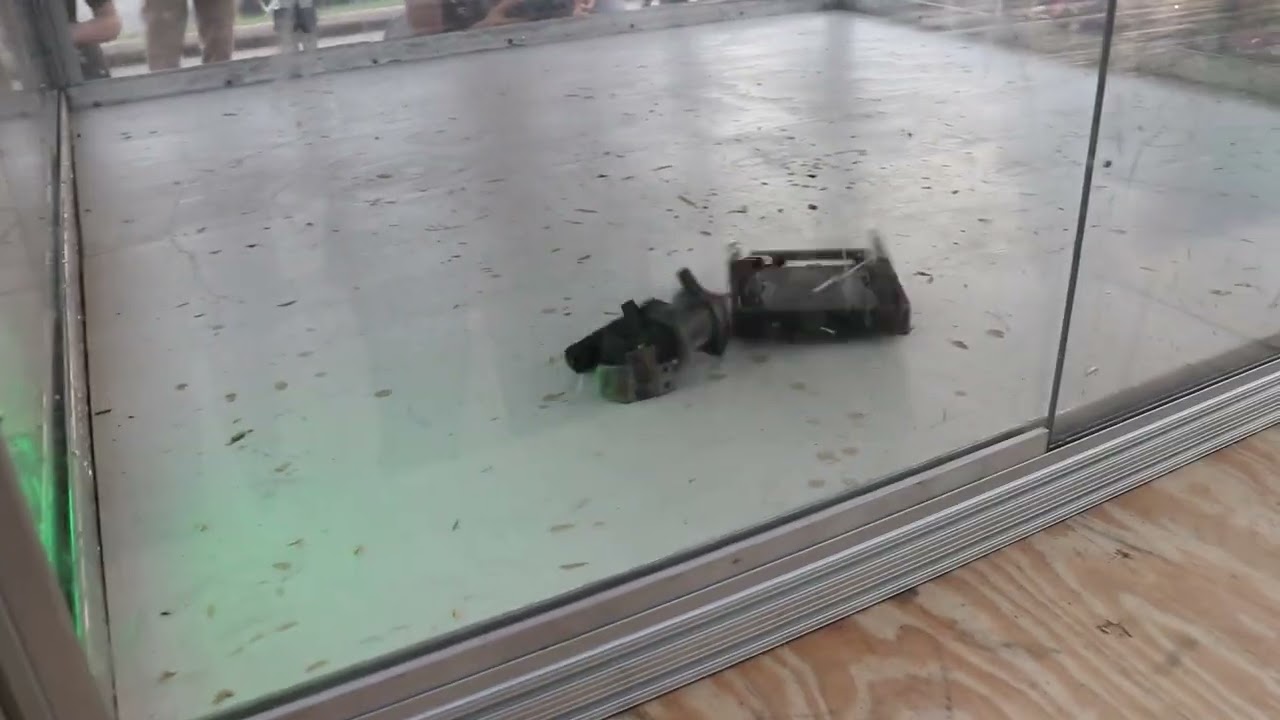 1 lb division; Abaddon VS Daddy Badger; Turkey Tussle 2022