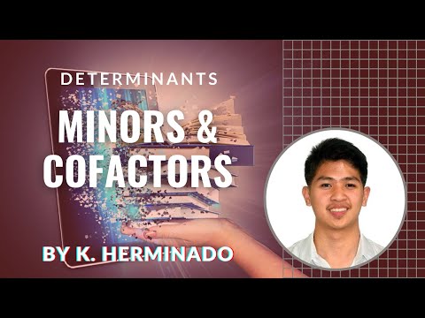 Master the Concept of Minors and Cofactors (Determinants) in just 8 minutes - K. Herminado