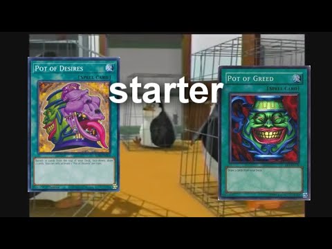 Yugioh meme:when draw cards are trying to get the starter card