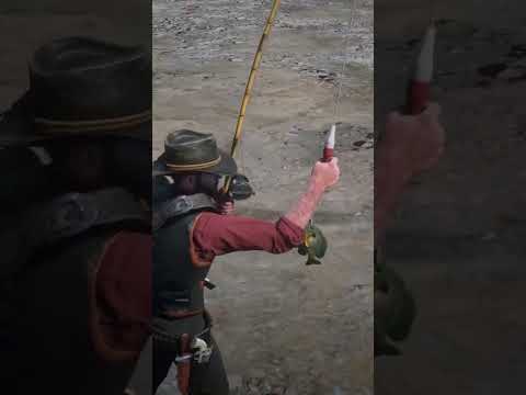 remove the water to catch a legendary fish in red dead redemption 2 #rdr2 #gaming