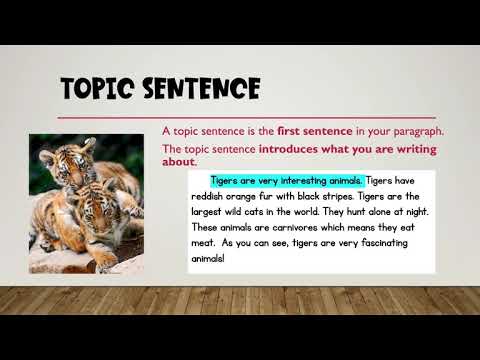 Paragraph Intro for Kids