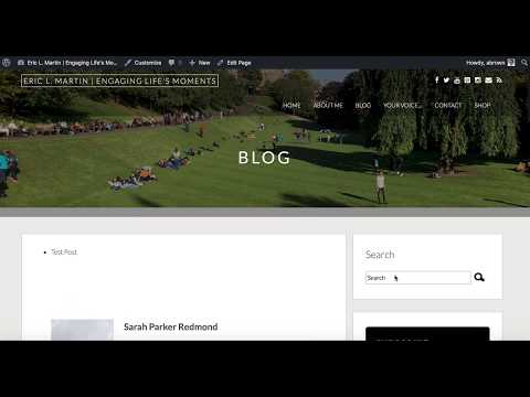Quickly Display WordPress Posts by Blog Category in Page or Post