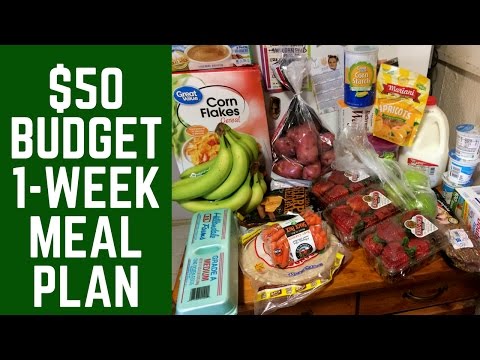 Budget 1-week meal plan -$4,500