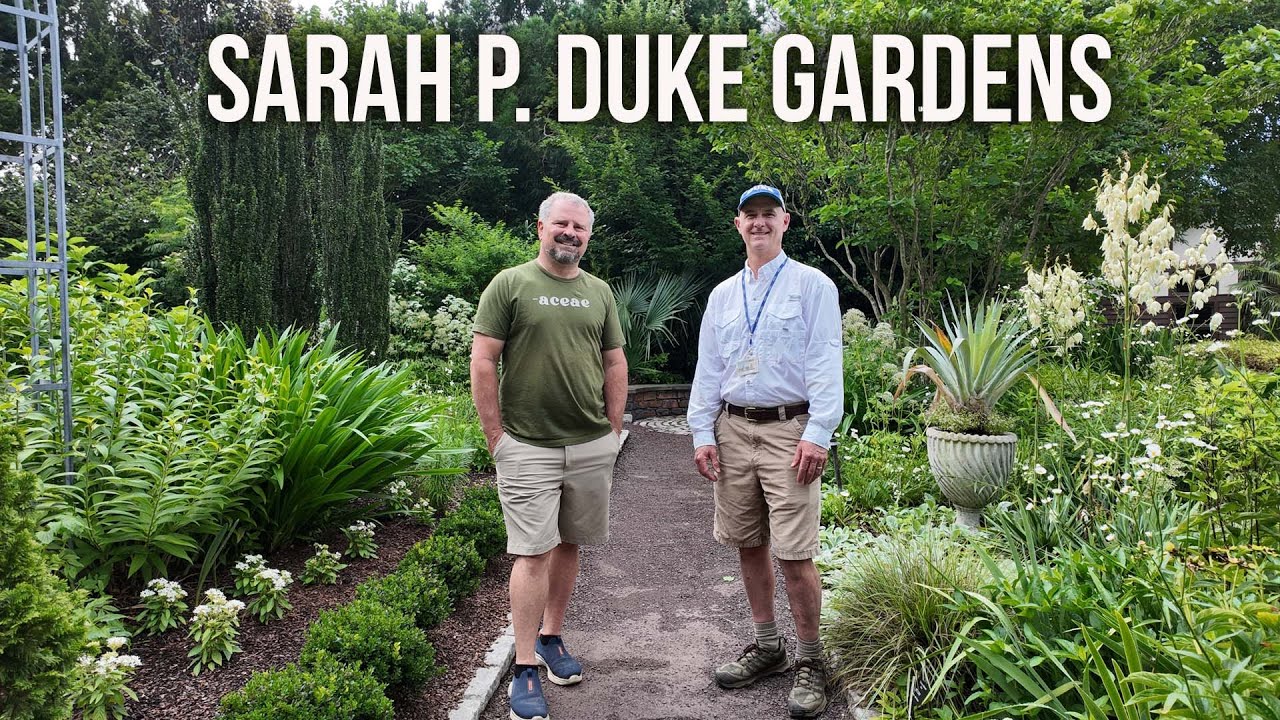 The Incredible Duke Gardens - A Bucket List Garden