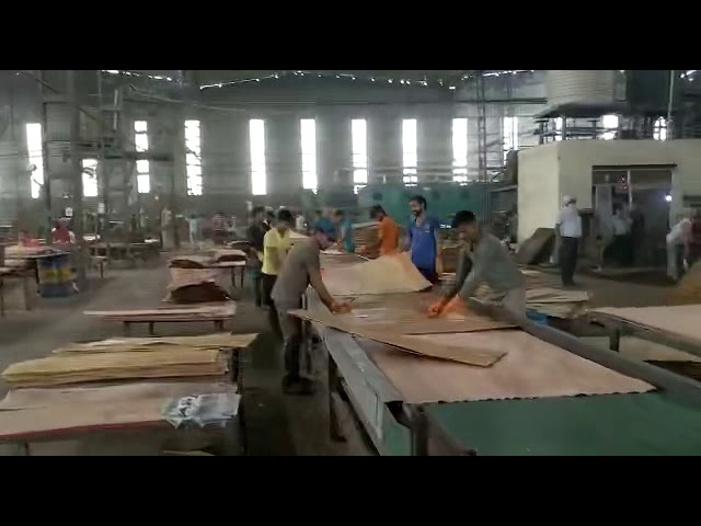 Shuttering Plywood - 18Mm Shuttering Ply Trader - Wholesaler ...