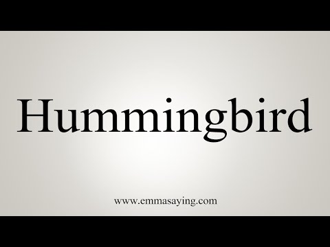 How To Say Hummingbird
