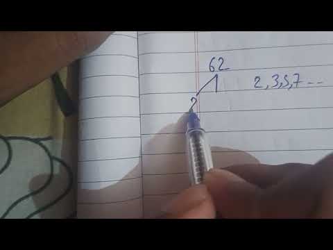 factor tree of 62 | prime factor tree |