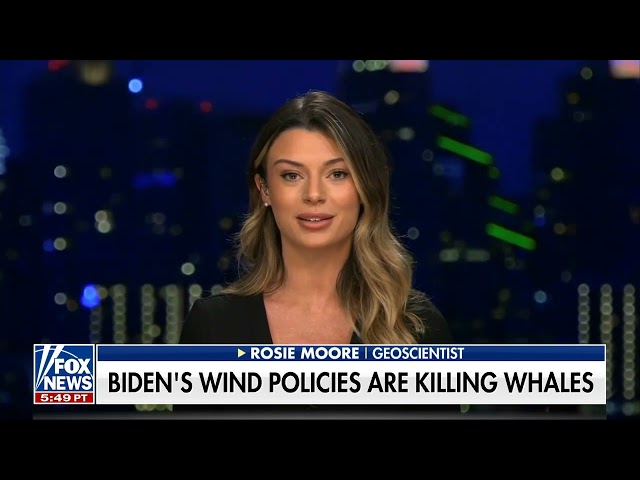 Rosie Moore, la científica guapa que se volvió viral por sus ...