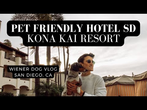Pet Friendly Hotel Review | San Diego | Kona Kai Resort Review 2023