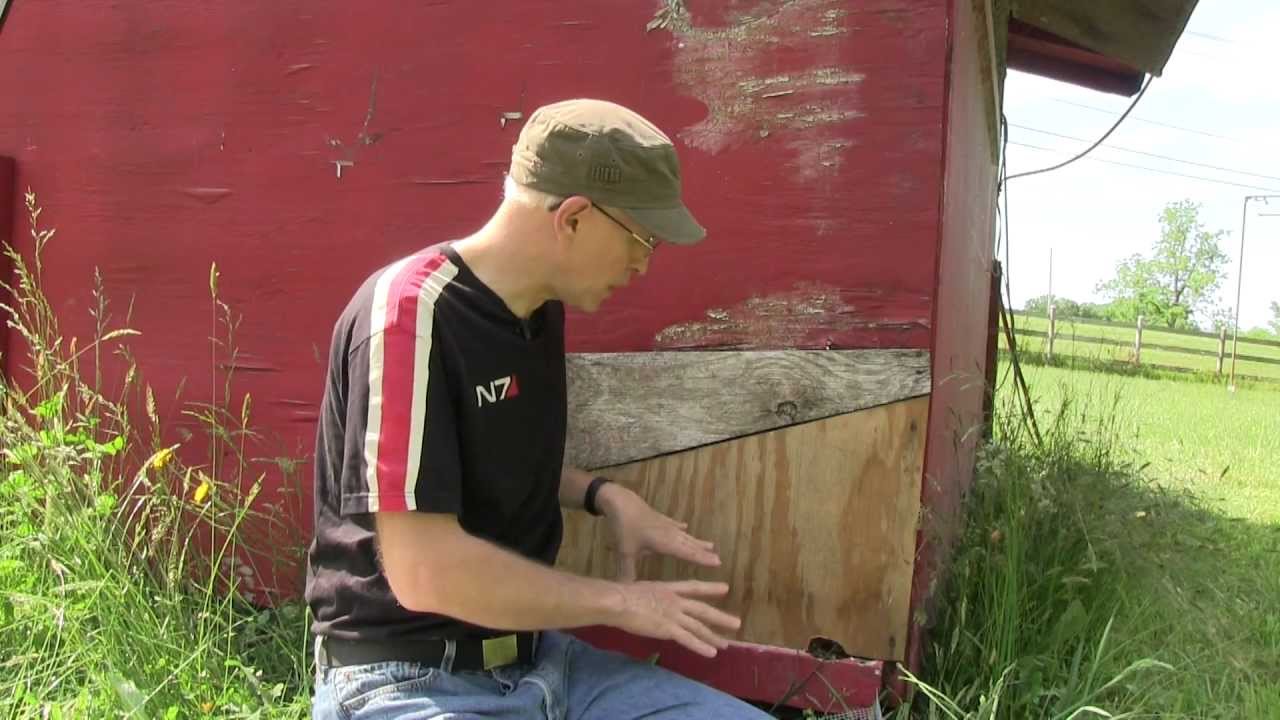 Raising Chickens: Moving Your Pullets / Chicks to Your Coop