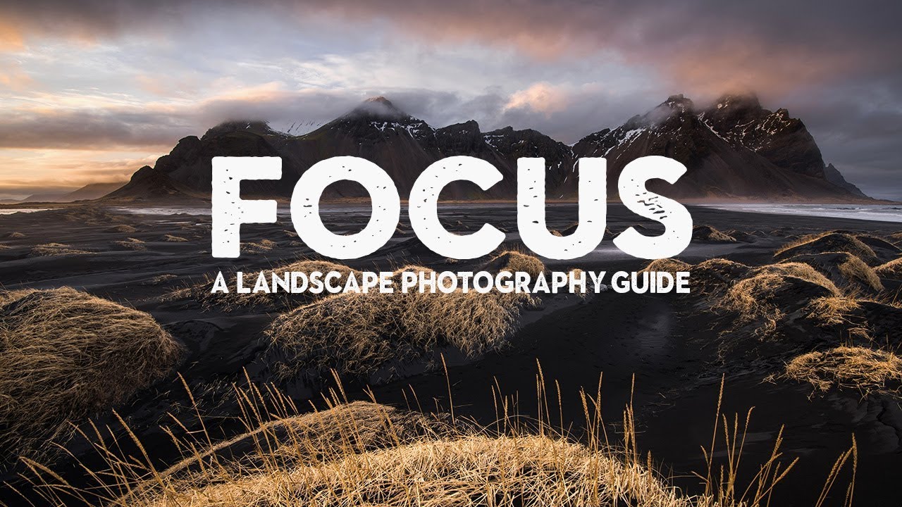 Ultimate Guide to Understanding Focus in Photography | Ic... | Steve ...