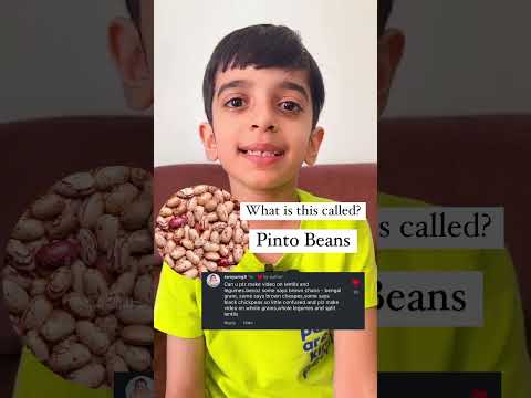 Legumes and Lentils #learnenglishwithsharry