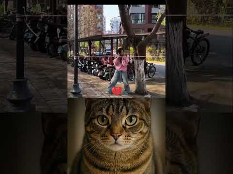 W cat 🔥 #cat  #sigma #sigma cat #trend #viralvideo