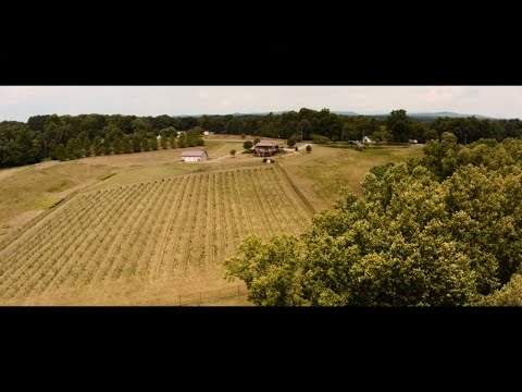 Brandon Hills Vineyard | Yadkin Valley | North Carolina