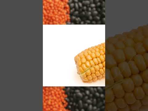 Soy and Corn Oil Pumping Solutions