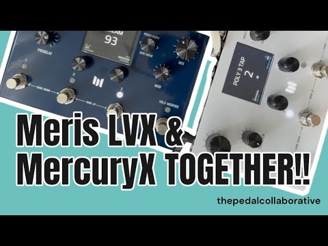 Meris LVX & Meris Mercury X Bundle (optional Brass Buttons) | Reverb