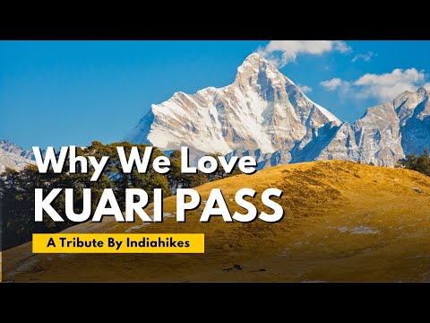 Kuari Pass Trek 2023 - Treks In Uttarakhand - Indiahikes