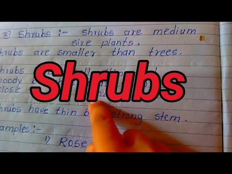 Shrubs || Definition Of Shrubs || example Of Shrubs || Explanation Of Shrubs || Types Of Plants
