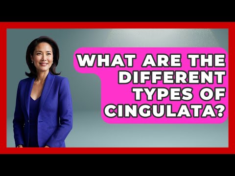 What Are The Different Types Of Cingulata? - The Wild Life Explorer