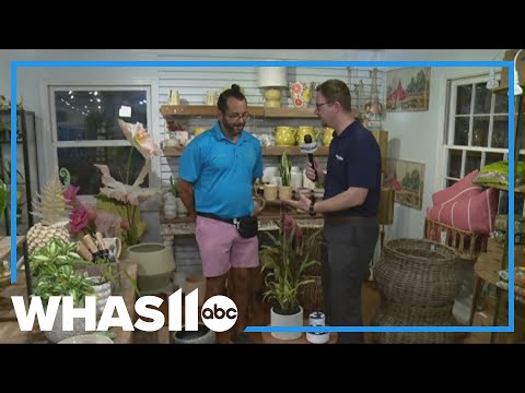 Buy some discounted plants at 'Sip & Shop' at Wallitsch Garden Center