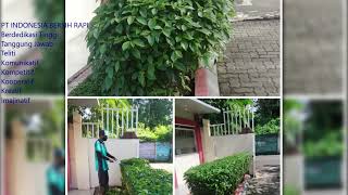 Jual DOWNY FBEN LIQUID PASSION REFILL 1.35 L PER KARTON ISI 6 PCS ...