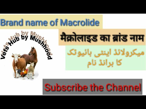 What are the Brand names of Macrolide | मैक्रोलाइड का ब्रांड नाम