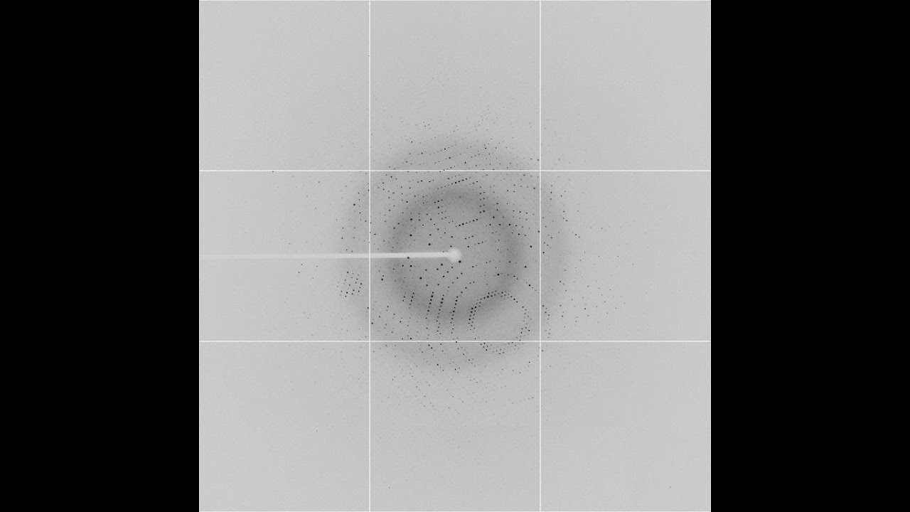 The diffraction pattern of a protein crystal