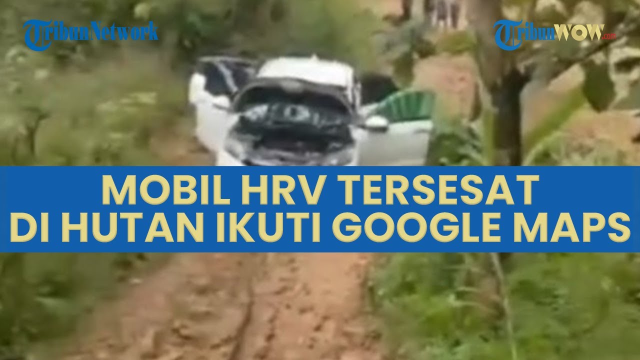 Viral Mobil HRV Tersesat di Hutan Pati saat Ikuti Arahan Google Maps ...