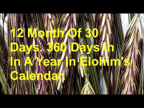 30 Days In A Month 360 Days In A Year Elohim's Calendar Amen !!!