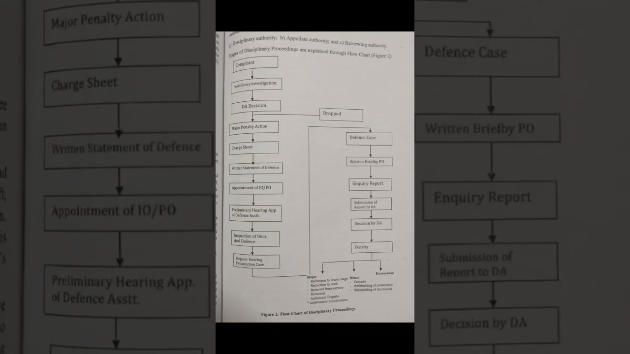 Flowchart of Disciplinary Proceedings #disciplinary #proceedings #shorts
