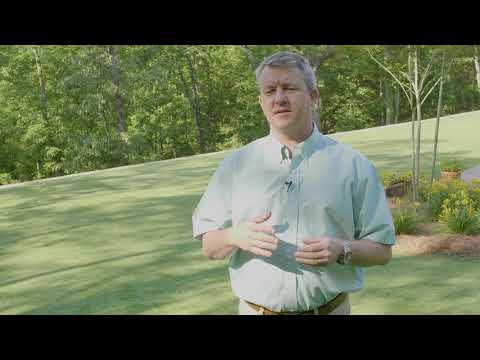 Ben Copeland: Automower® Robotic Lawn Mower for All Terrain | Husqvarna