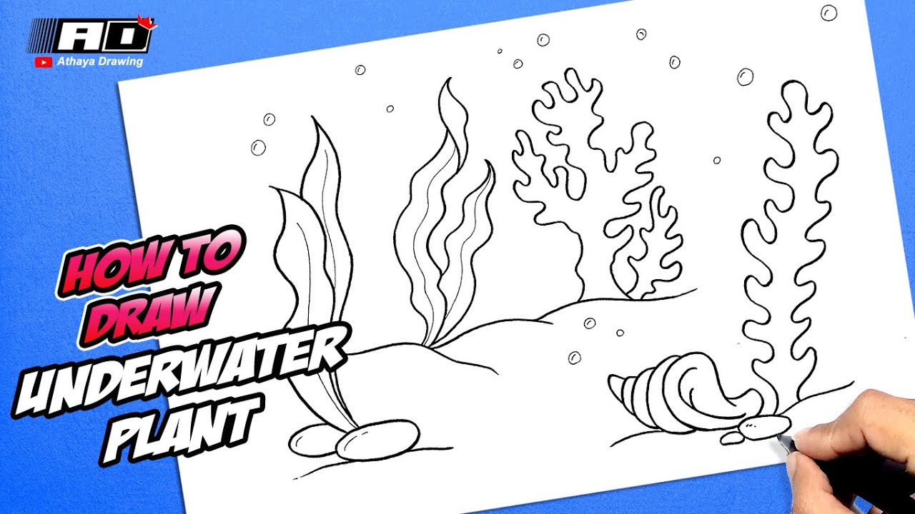 How to draw Underwater Plants