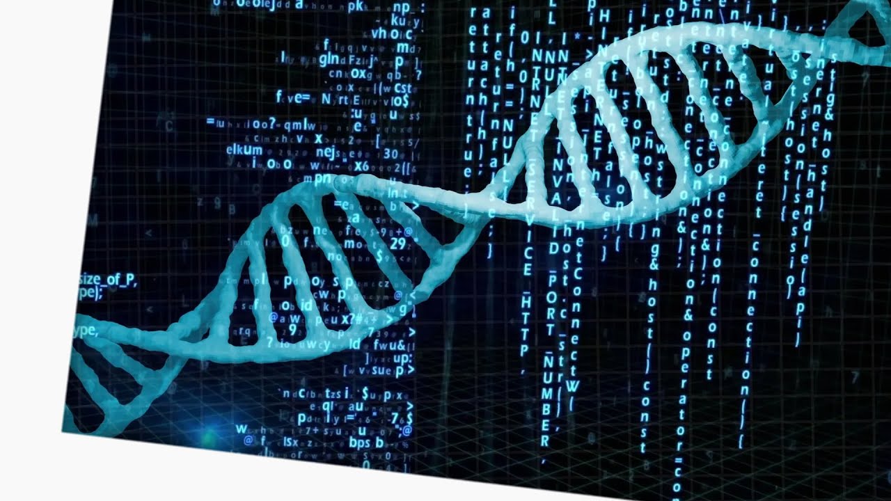 Computer Code in your DNA