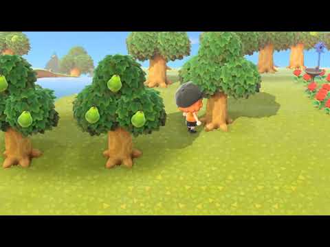 Steam Community :: Video :: Animal Crossing New Horizons: Fast Branch ...