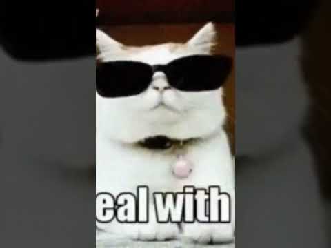 Funny Gifs π